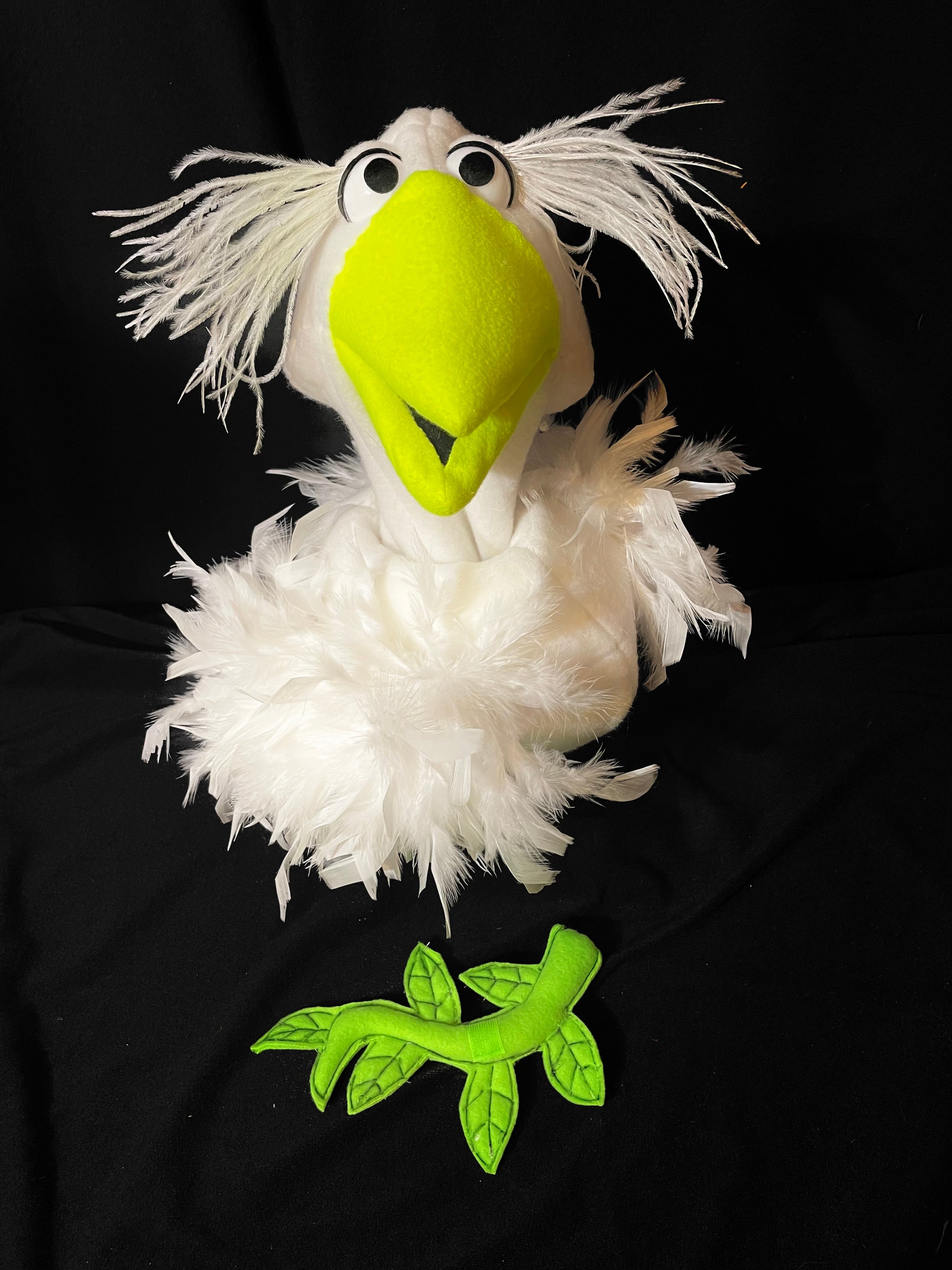 Birds or Bird Like – Out of the Box Puppets